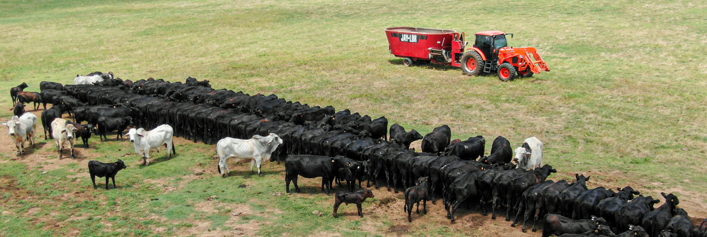 Jaylor Vertical TMR Mixer Wagons – Stretch Your Feed | Jaylor